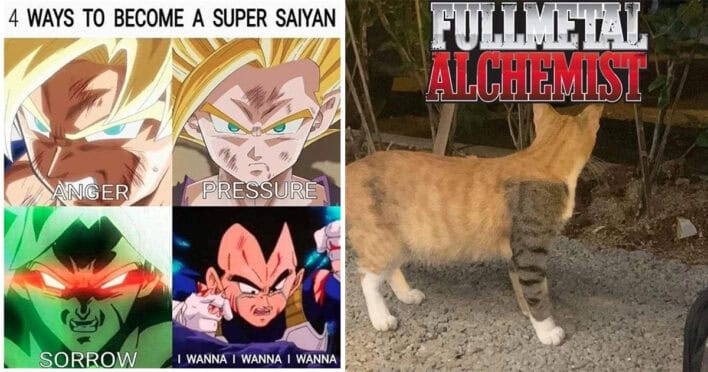 40 Anime Memes Using Advanced Humor Jutsu You Can't Dodge (September 27 ...