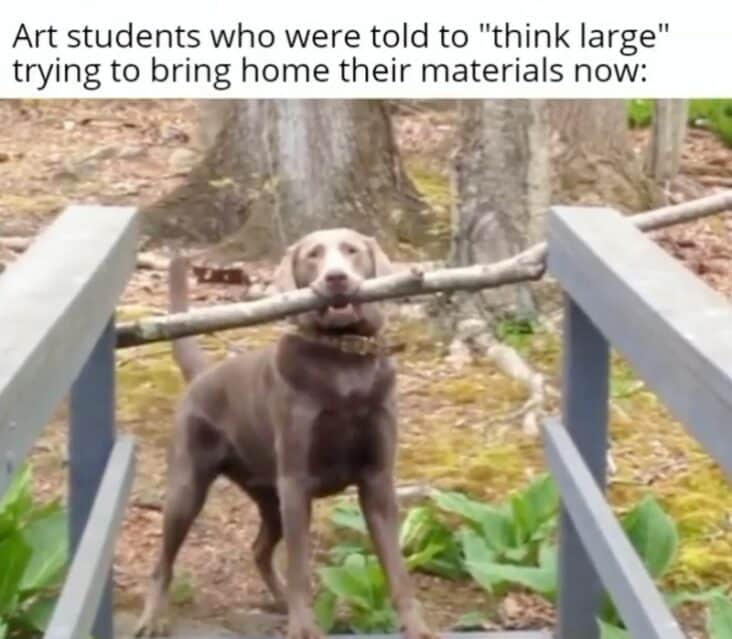 36 Colorful Art Student Memes Even More Hilarious Than An Art Degree