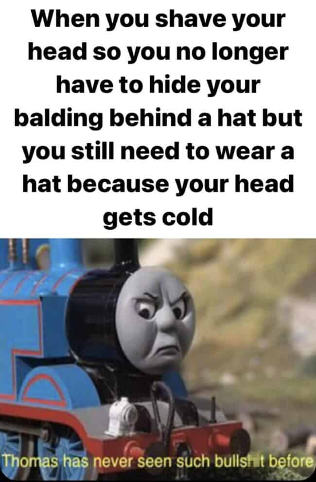 32 Shiny Bald Memes For The Follicly Challenged With An Abundance Of Humor