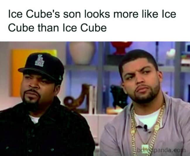 50 Funny Celebrity Memes That Are Hilariously On Point