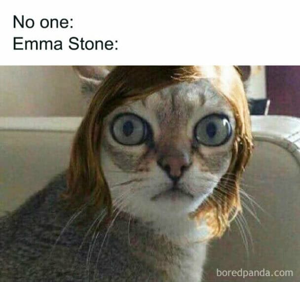 50 Funny Celebrity Memes That Are Hilariously On Point
