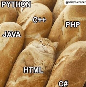 35 Funny Programming Memes For Engineers Who Need A Break From ...