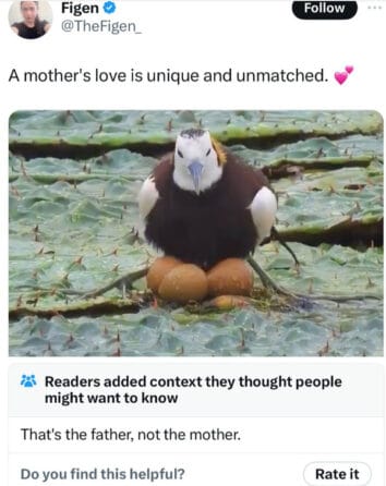 45+ Funniest ‘Community Notes’ Clapbacks On Twitter