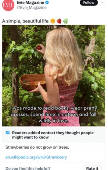 45+ Funniest ‘Community Notes’ Clapbacks On Twitter
