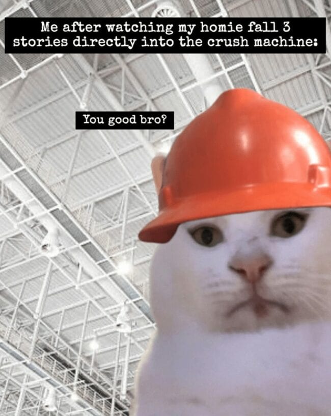 35 Funny Construction Worker Memes That'll Have You Cracking Up On Site ...