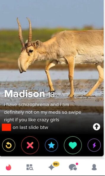 40 Hilarious And Cringe-Worthy Dating App Screenshots That Will Make ...
