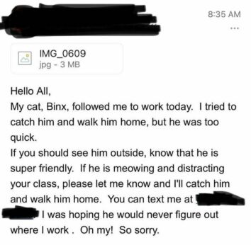45 Funny Emails That Had People Laughing And Sharing Screenshots