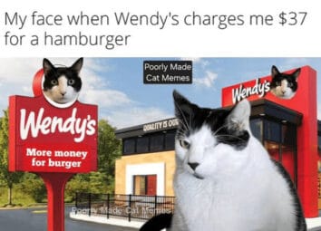 40 Funny Fast Food Memes That Are Better Than Getting Your Order Right ...
