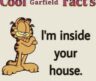 35 Funny Garfield Memes That Pair Well With Lasagna (September 5, 2024)