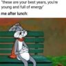 30 Funny Lunch Memes For Hungry Folks Who Eat What The Packed By 10AM