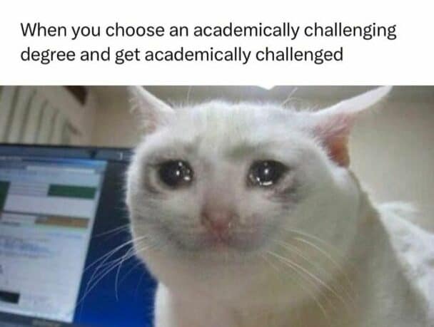 40 Funny Medical Worker Memes From Nurses, Doctors, and Students Who ...