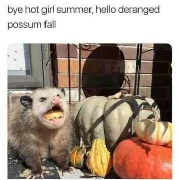 40 Funny Memes That Capture The Pure Joy Of Fall’s First Day (September ...