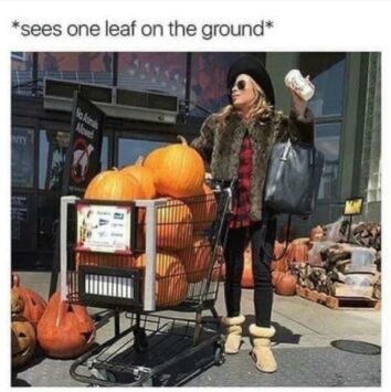 40 Funny Memes That Capture The Pure Joy Of Fall’s First Day (September ...