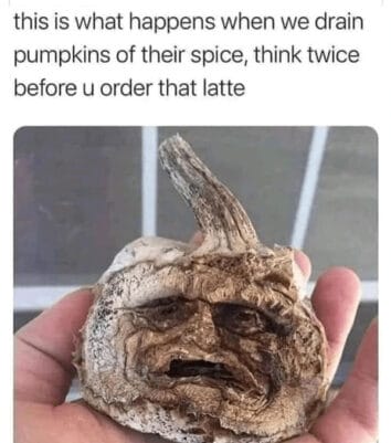 40 Funny Memes That Capture The Pure Joy Of Fall’s First Day (September ...