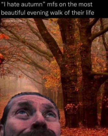 40 Funny Memes That Capture The Pure Joy Of Fall’s First Day (September ...