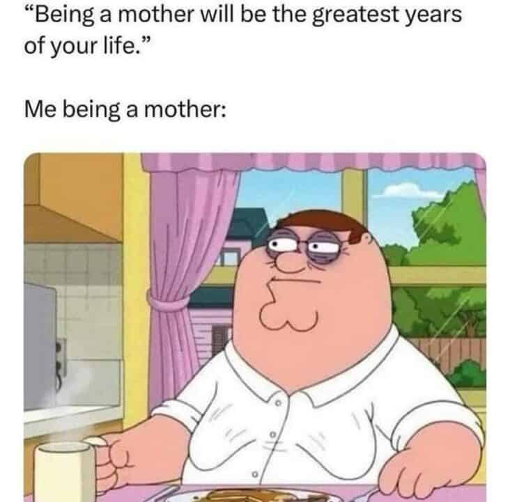 40 Relatable Motherhood Memes For Moms Hanging On For Dear Life ...