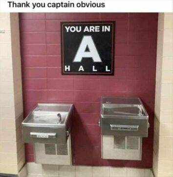 45 Funny Pictures That’ll Have You Spitting Out Your Morning Coffee ...