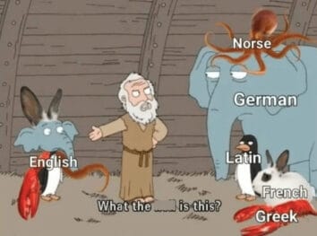 40+ Funny Foreign Language Memes That Will Have Bilinguals And ...