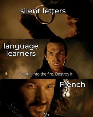 40+ Funny Foreign Language Memes That Will Have Bilinguals And ...