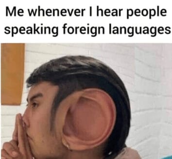 40+ Funny Foreign Language Memes That Will Have Bilinguals And ...
