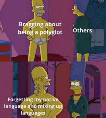 40+ Funny Foreign Language Memes That Will Have Bilinguals And ...