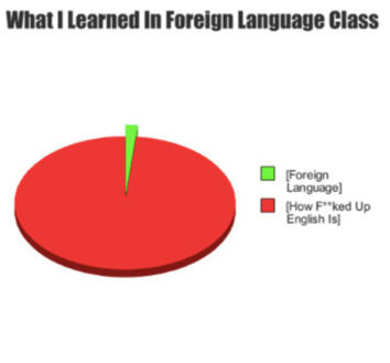40+ Funny Foreign Language Memes That Will Have Bilinguals And ...