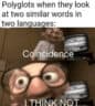 40+ Funny Foreign Language Memes That Will Have Bilinguals And ...