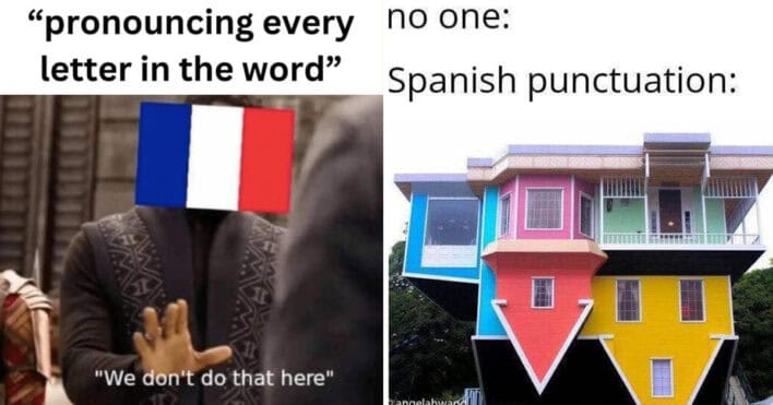 40+ Funny Foreign Language Memes That Will Have Bilinguals And ...