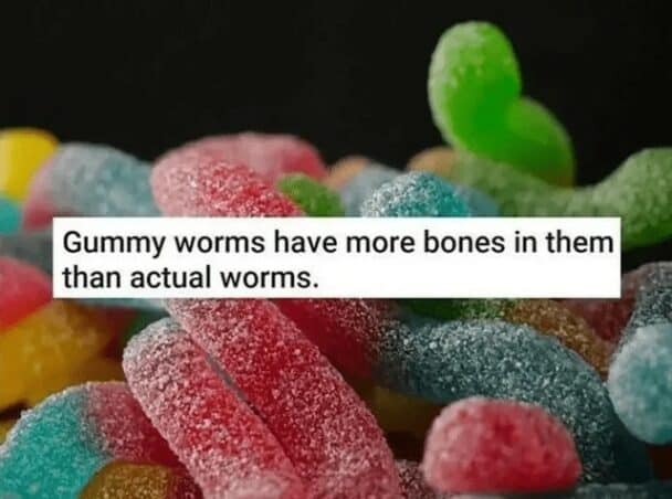 40 Hilarious Memes That Prove 'Technically Correct' Is The Best Kind Of ...