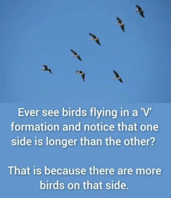 40 Hilarious Memes That Prove 'Technically Correct' Is The Best Kind Of ...