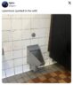 45 Funny Cybertruck Memes So Good, Even Elon Might Crack A Smile