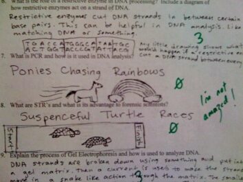 40 Funny Test Answers From Students Who Flunked The Exam But Aced The Humor