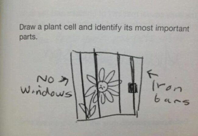40 Funny Test Answers From Students Who Flunked The Exam But Aced The Humor