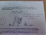 40 Funny Test Answers From Students Who Flunked The Exam But Aced The Humor