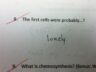 40 Funny Test Answers From Students Who Flunked The Exam But Aced The Humor