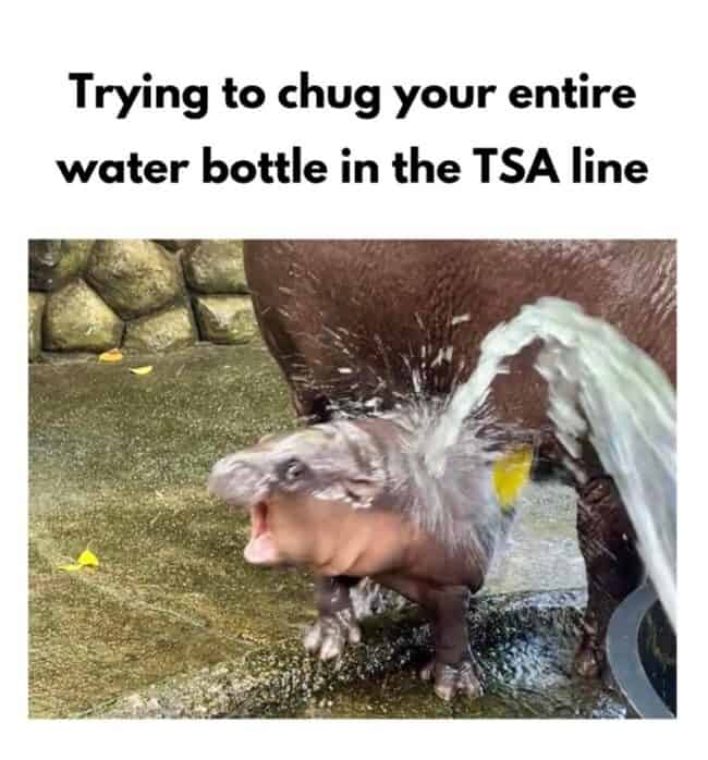 30 Funny TSA Memes You Can Enjoy Once Your Shoes Are In The Bin