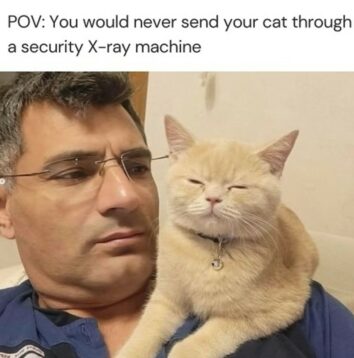 30 Funny TSA Memes You Can Enjoy Once Your Shoes Are In The Bin