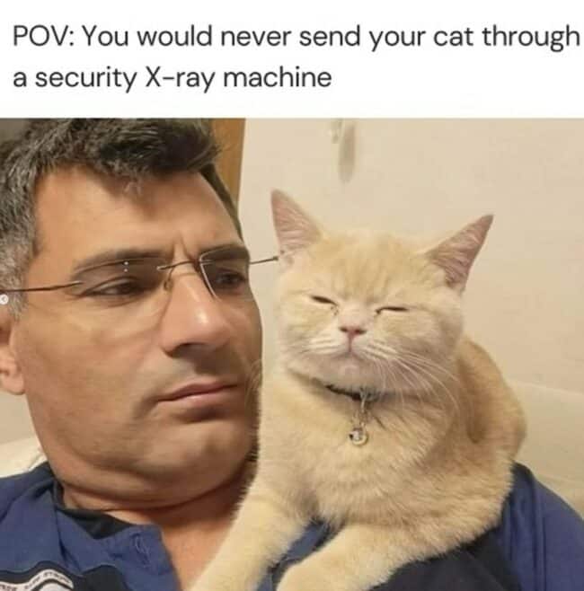 30 Funny TSA Memes You Can Enjoy Once Your Shoes Are In The Bin