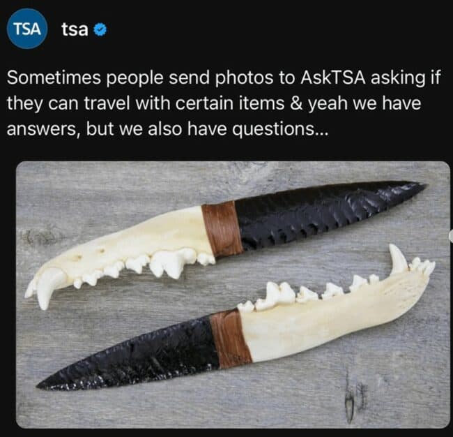 30 Funny TSA Memes You Can Enjoy Once Your Shoes Are In The Bin