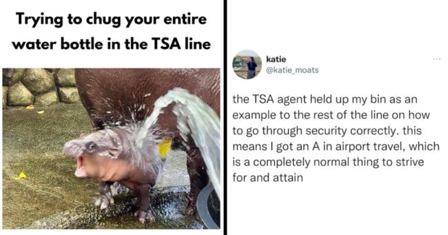 30 Funny TSA Memes You Can Enjoy Once Your Shoes Are In The Bin