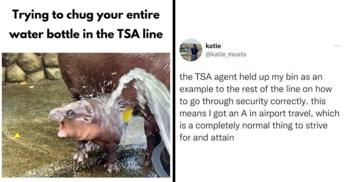 30 Funny TSA Memes You Can Enjoy Once Your Shoes Are In The Bin
