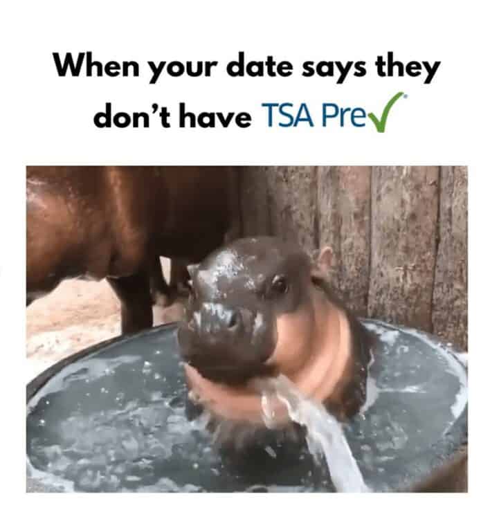 30 Funny TSA Memes You Can Enjoy Once Your Shoes Are In The Bin