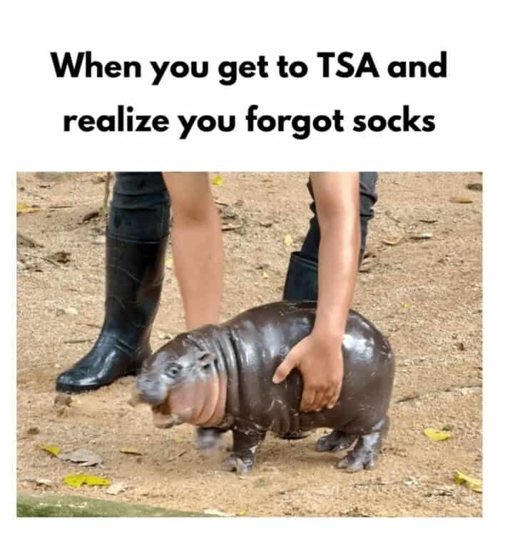 30 Funny TSA Memes You Can Enjoy Once Your Shoes Are In The Bin