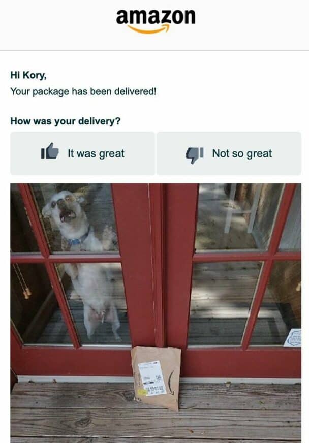 40 Of The Funniest And Most Unhinged Emails People Ever Sent