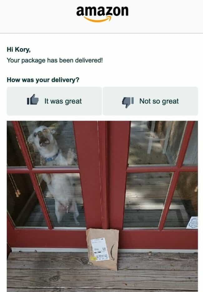 40 Of The Funniest And Most Unhinged Emails People Ever Sent