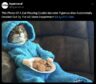 40 Of The Funniest And Most Unhinged Emails People Ever Sent