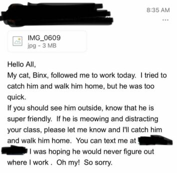 40 Of The Funniest And Most Unhinged Emails People Ever Sent