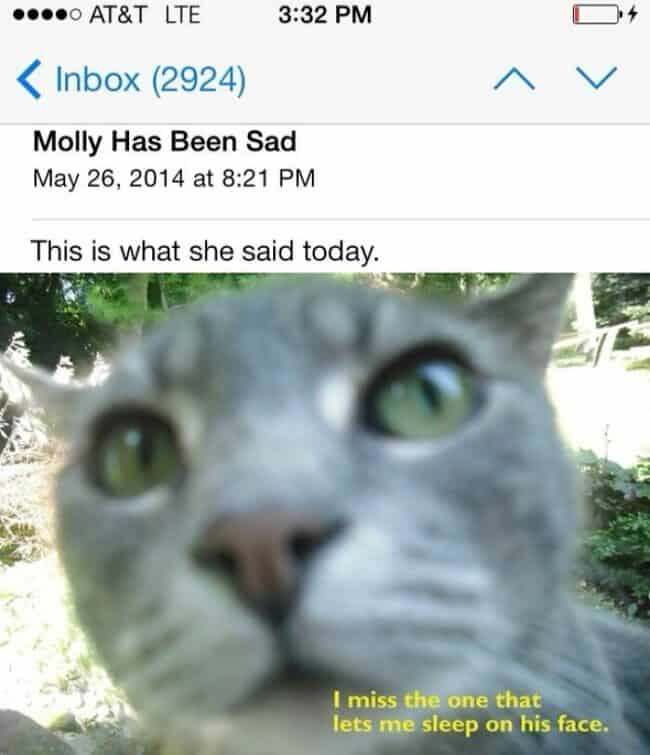 40 Of The Funniest And Most Unhinged Emails People Ever Sent