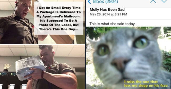 40 Of The Funniest And Most Unhinged Emails People Ever Sent