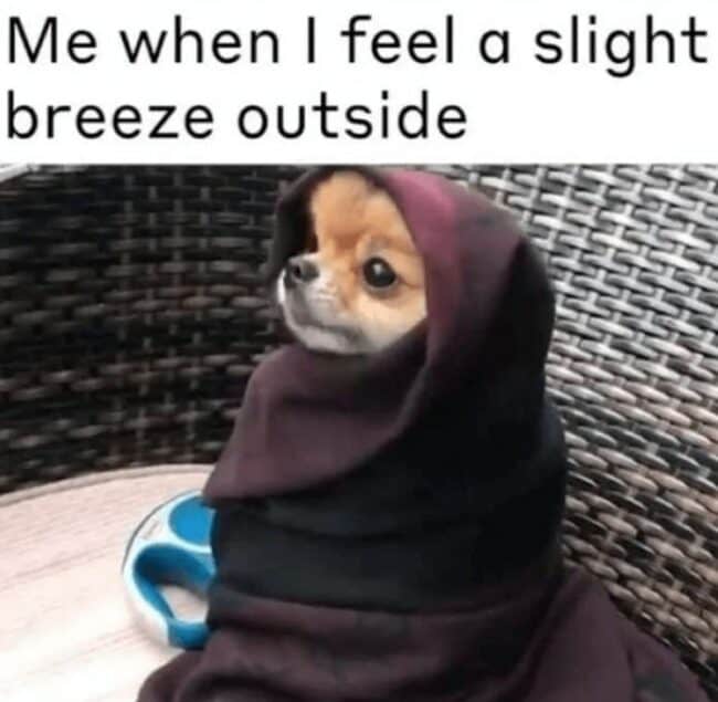 25 Funny Memes About That Time Of Year When The Weather Can't Decide If ...